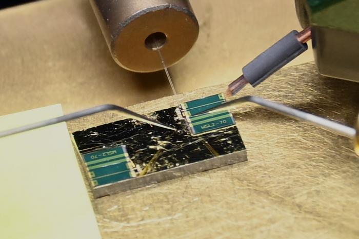 Image 2 [IMAGE] | EurekAlert! Science News Releases