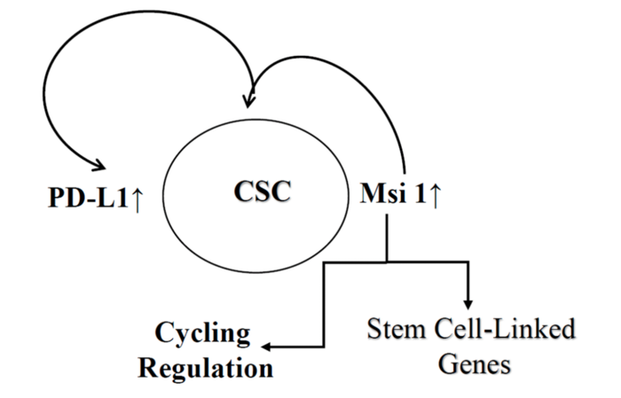 Figure 6 [IMAGE] | EurekAlert! Science News Releases
