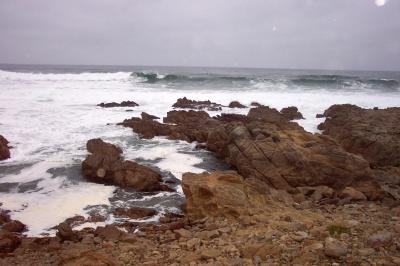 Rock and Surf at Asilomar State Park | EurekAlert!