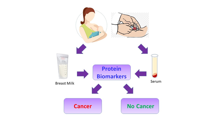 Biomarkers for Breast Cancer [IMAGE] | EurekAlert! Science News Releases