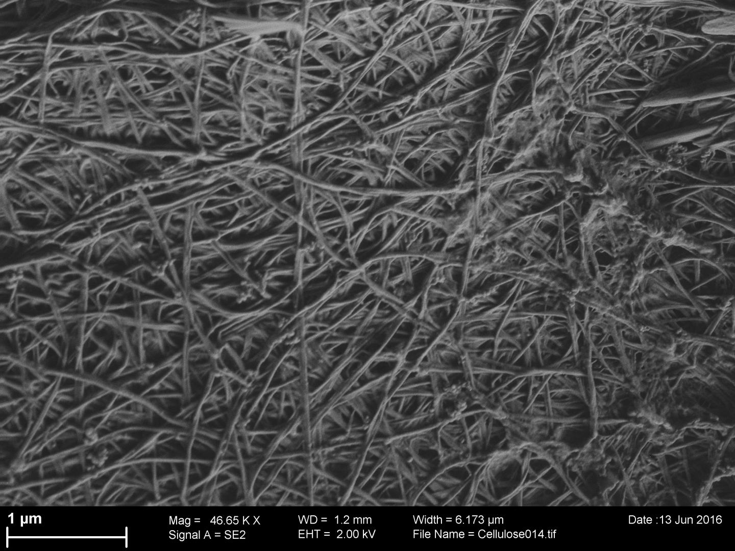Printing "Living Materials" with Bacteria-loa | EurekAlert!