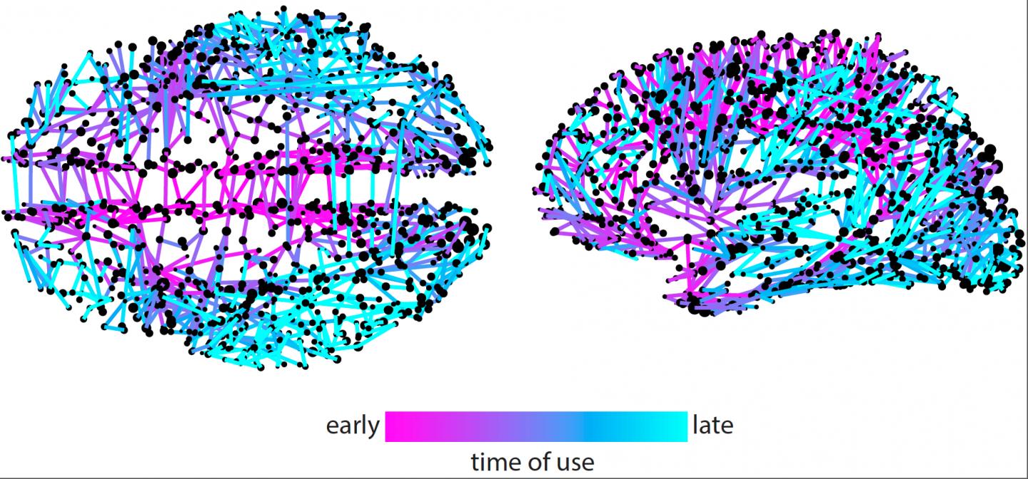 Brain Mapping [IMAGE] | EurekAlert! Science News Releases