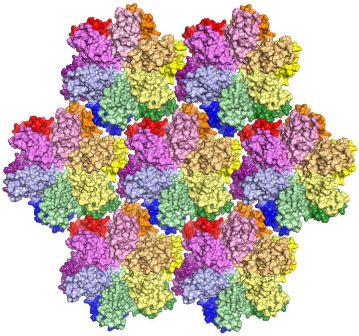 HIV Capsid Protein [IMAGE] | EurekAlert! Science News Releases