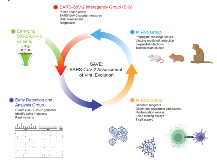 SAVE team changed how science [IMAGE] | EurekAlert! Science News Releases