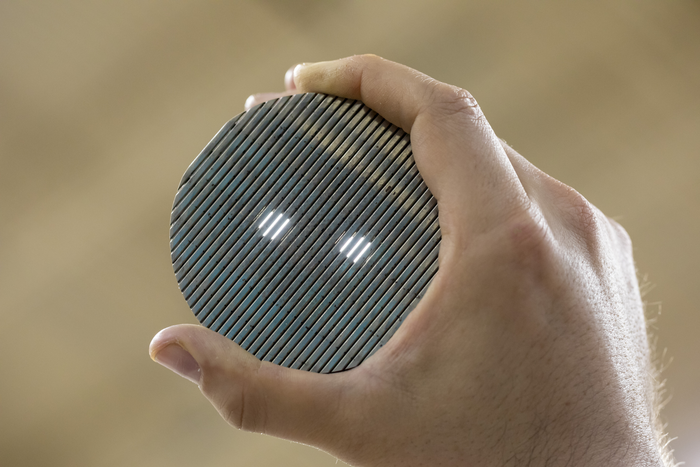 Screen coupon [IMAGE] | EurekAlert! Science News Releases