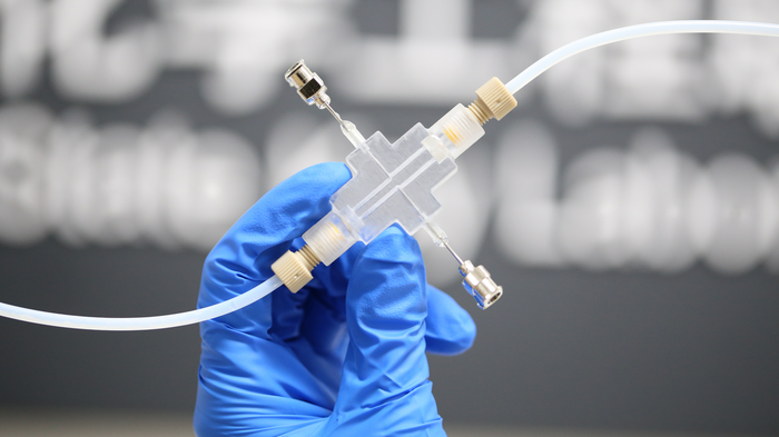 Parallel scaled capillary-asse [IMAGE] | EurekAlert! Science News Releases