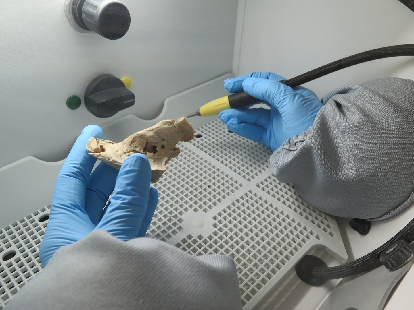 Early East Asian Humans Genetically Similar t | EurekAlert!