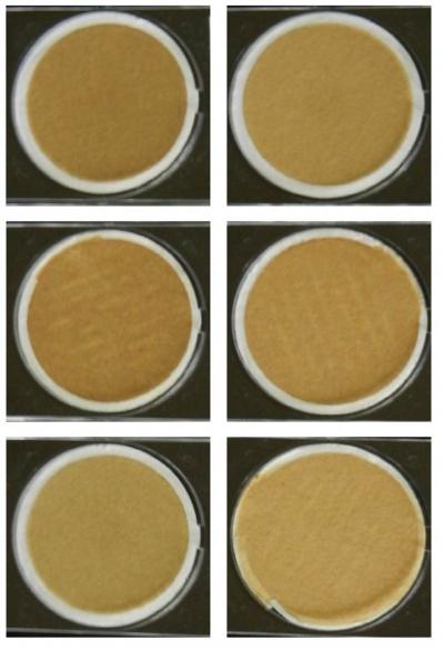 Air Filter Samples [IMAGE] | EurekAlert! Science News Releases