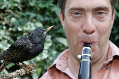 Exotic world of interspecies music spotlighte | EurekAlert!
