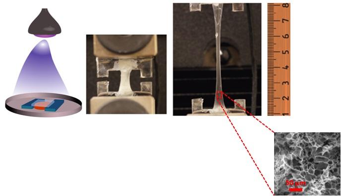 ELP Hydrogel [IMAGE] | EurekAlert! Science News Releases