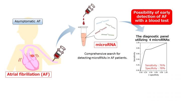 Potential RNA Markers of abnormal heart rhyth | EurekAlert!