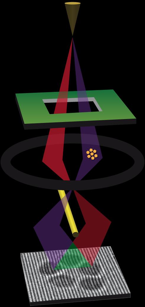 How Electron Holography Works [IMAGE] | EurekAlert! Science News Releases