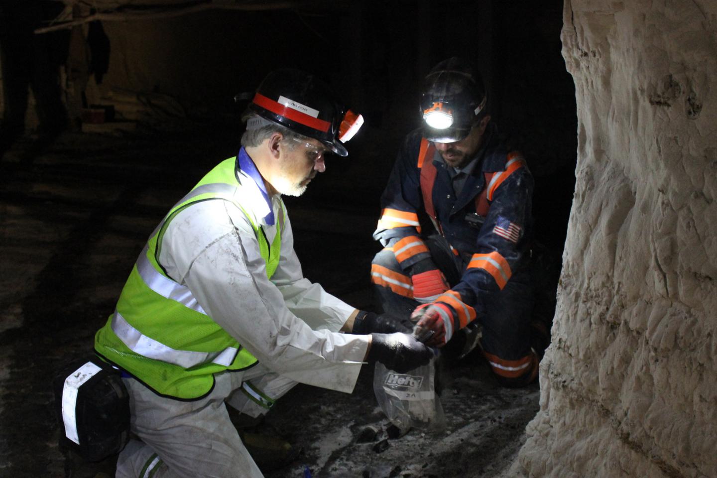 John Thorson, Rice University [IMAGE] | EurekAlert! Science News Releases