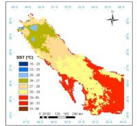 Climate change in Kuwait Bay | EurekAlert!