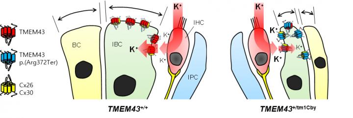 Figure 3 [IMAGE] | EurekAlert! Science News Releases