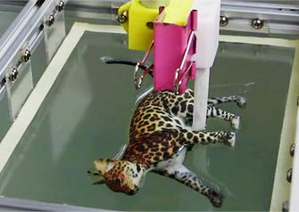 New method -- computational hy [IMAGE] | EurekAlert! Science News Releases