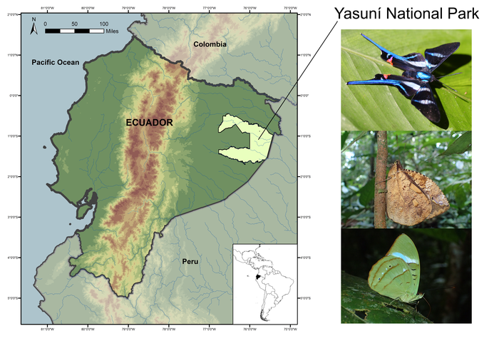 Yasuni National Park Map