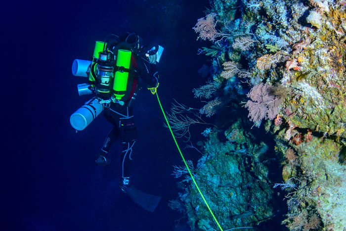 Hope for Reefs diver conductin [IMAGE] | EurekAlert! Science News Releases