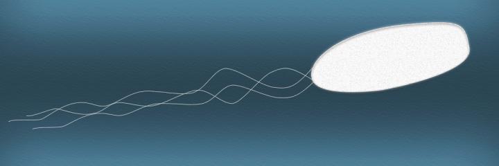 Sabotaging bacteria propellers to stop infect | EurekAlert!