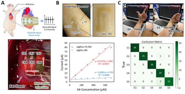 Figure 2: Various Biosensor Ap [IMAGE] | EurekAlert! Science News Releases