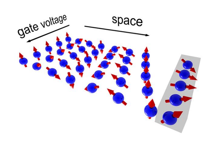 Manipulating Electron Spins [IMAGE] | EurekAlert! Science News Releases