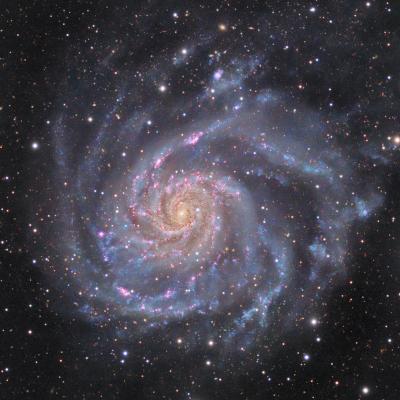 Galaxy M101 [IMAGE] | EurekAlert! Science News Releases