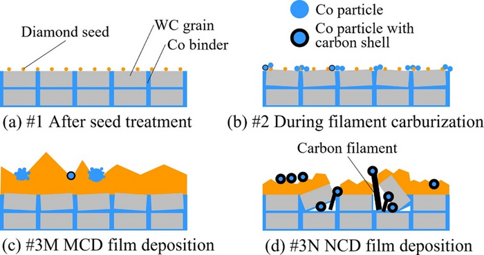 Understanding the mechanism of non-uniform fo | EurekAlert!
