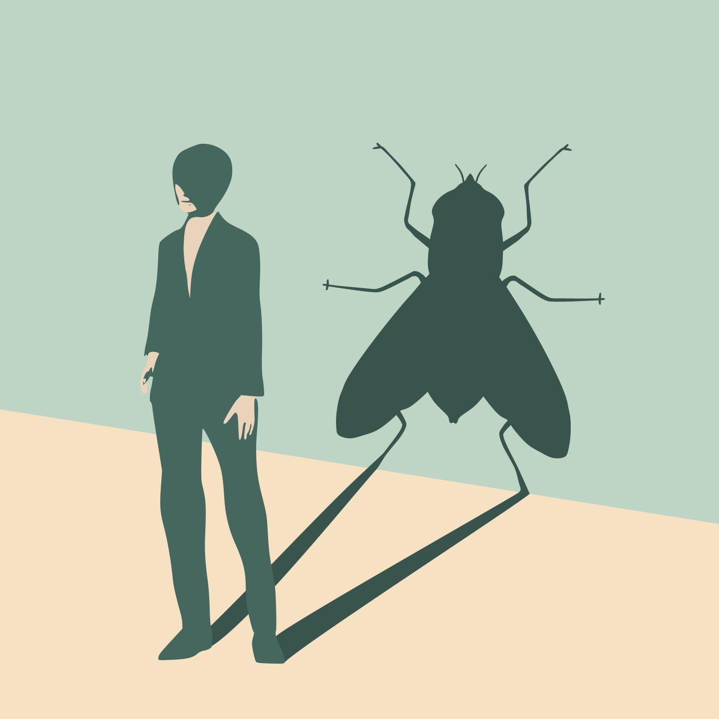 The fly shadow [IMAGE] | EurekAlert! Science News Releases