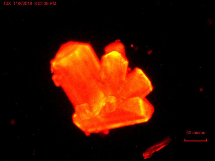 Curium [IMAGE] | EurekAlert! Science News Releases