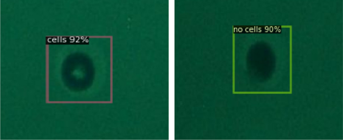 Single-cell detection results [IMAGE] | EurekAlert! Science News Releases