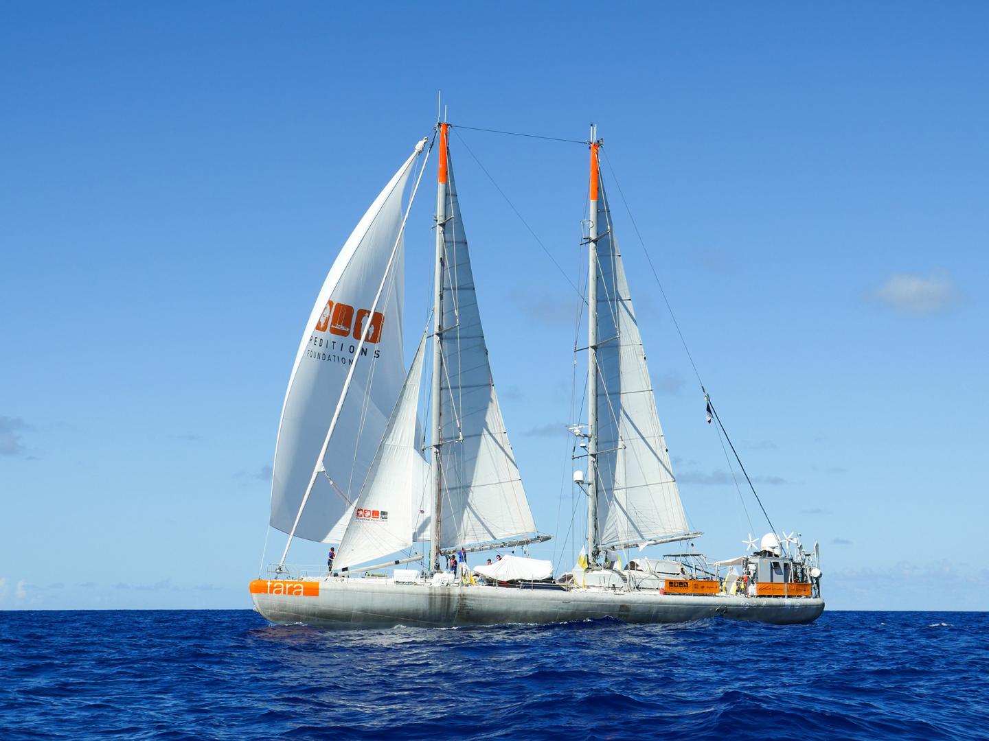 Tara at Sea [IMAGE] | EurekAlert! Science News Releases