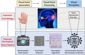 Reinventing computer vision to mimic human vi | EurekAlert!