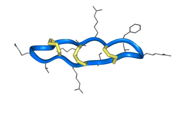 RTD-1 Ribbon Model [IMAGE] | EurekAlert! Science News Releases