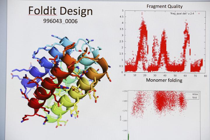 Foldit [IMAGE] | EurekAlert! Science News Releases