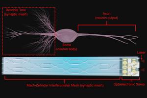 Brain-inspired optoelectronic computing | EurekAlert!