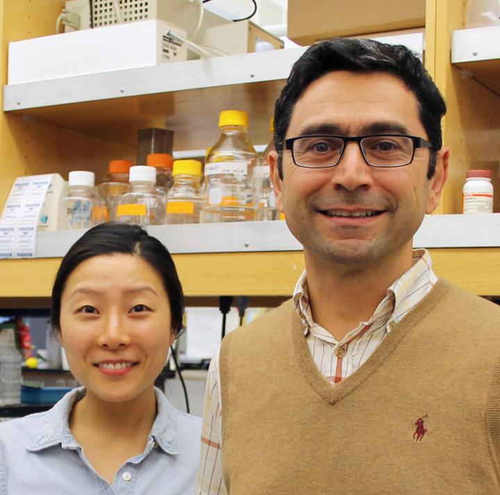 Patapoutian and Woo [IMAGE] | EurekAlert! Science News Releases