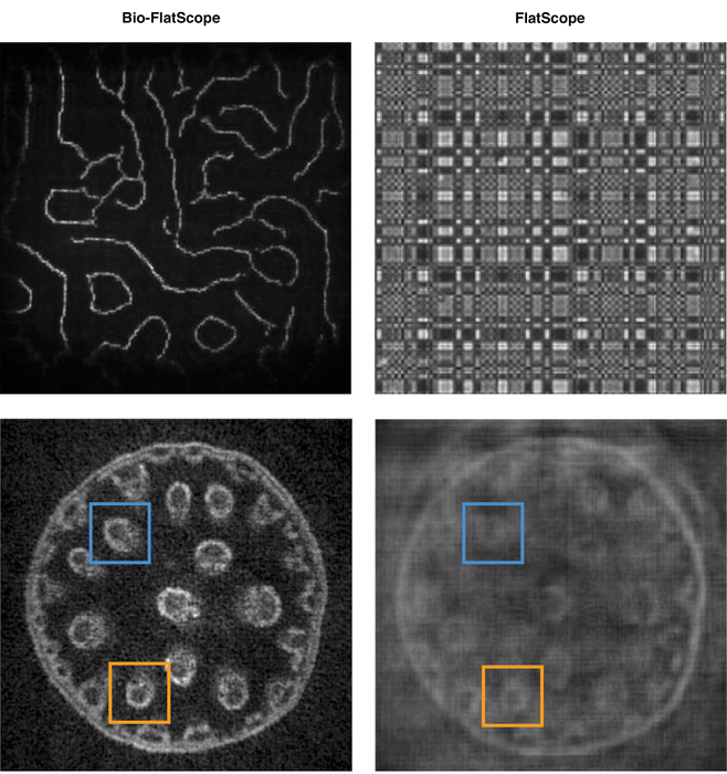 Bio-FlatScope comparison FlatS [IMAGE] | EurekAlert! Science News Releases