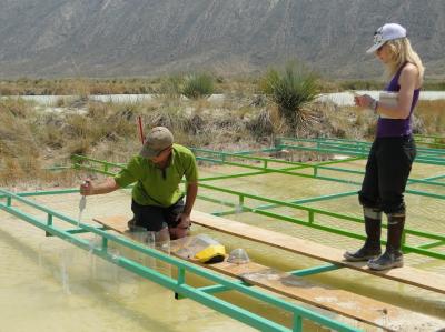 James Elser and Laura Steger, [IMAGE] | EurekAlert! Science News Releases