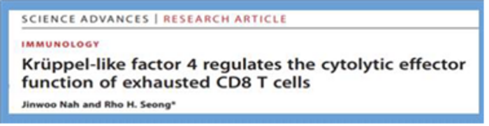 SCIENCE ADVANCES [IMAGE] | EurekAlert! Science News Releases