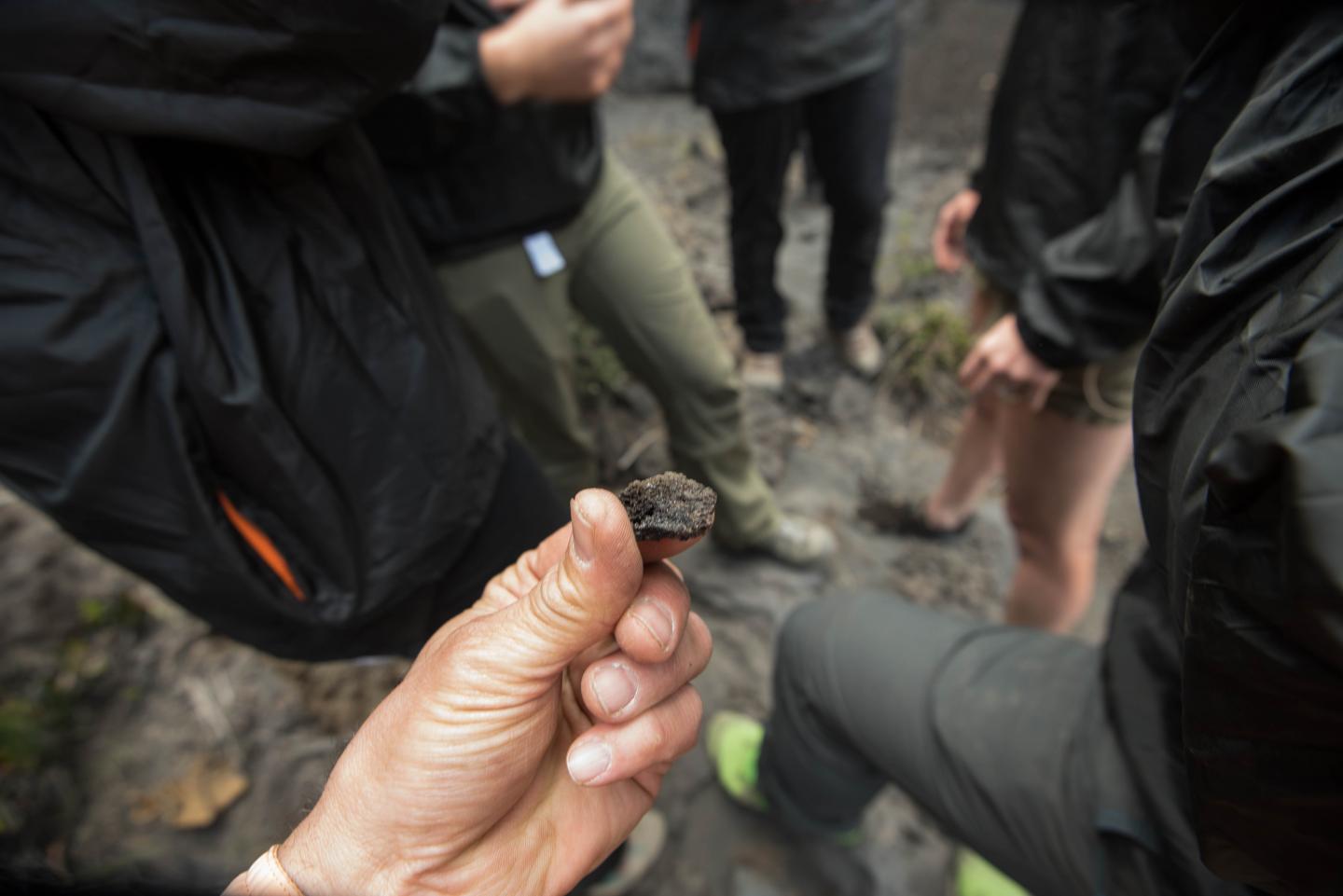 Costa Rica Volcano/Microbe Res [IMAGE] | EurekAlert! Science News Releases