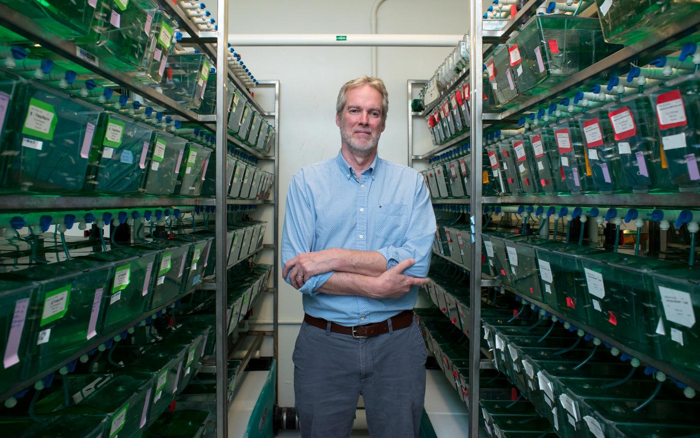 MDI Biological Laboratory awarded $3.14 milli | EurekAlert!