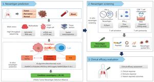 Targeting cancer with precision: neoantigen v | EurekAlert!