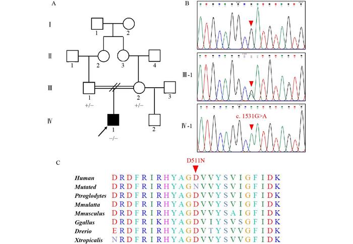 Figure [IMAGE] | EurekAlert! Science News Releases