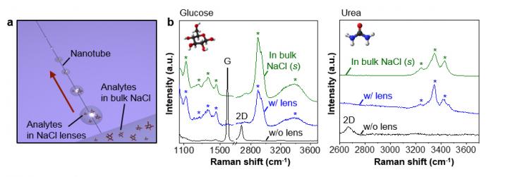 Use of the Salt Micro/nanolens [IMAGE] | EurekAlert! Science News Releases