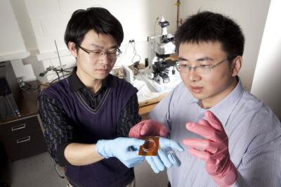 Qiming Wang and Xuanhe Zhao, [IMAGE] | EurekAlert! Science News Releases