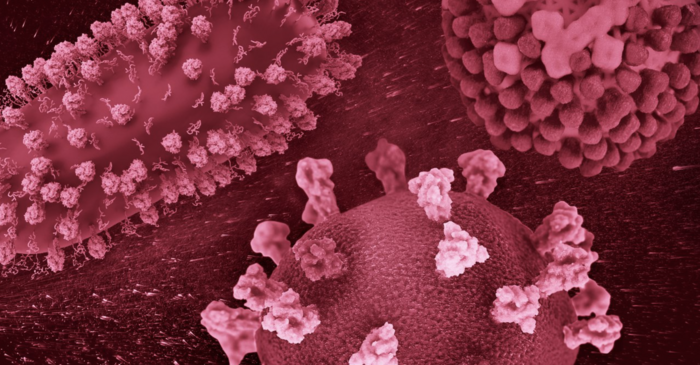 From pathogens to fads: Intera [IMAGE] | EurekAlert! Science News Releases