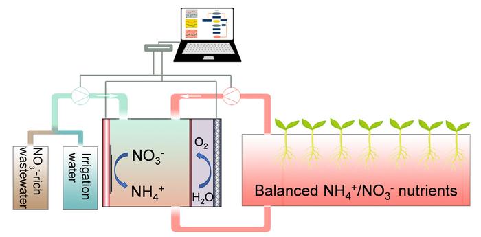 Smart farming platform improves crop yields, | EurekAlert!