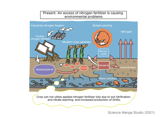 Present issues caused by exces [IMAGE] | EurekAlert! Science News Releases