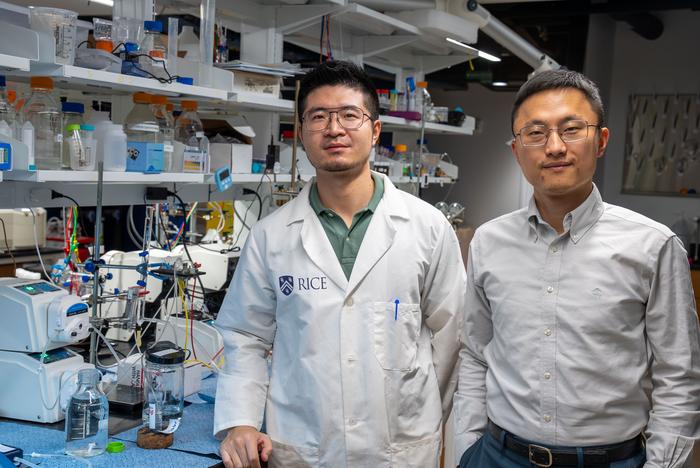 researchers [IMAGE] | EurekAlert! Science News Releases