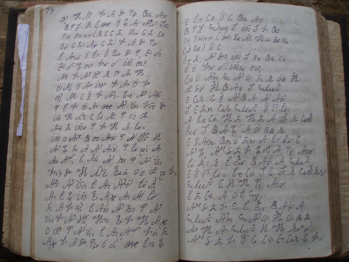 The astonishing origins of a rebel language i | EurekAlert!